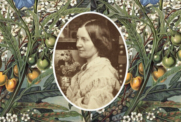 Hidden women of history: the Australian children's author who captured ...