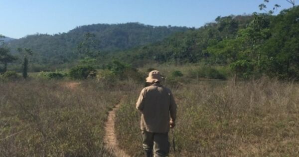 Another feasibility study delay for Centaurus' Jaguar nickel project