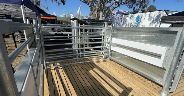 Automated catching pen wins Machine of the Year Award