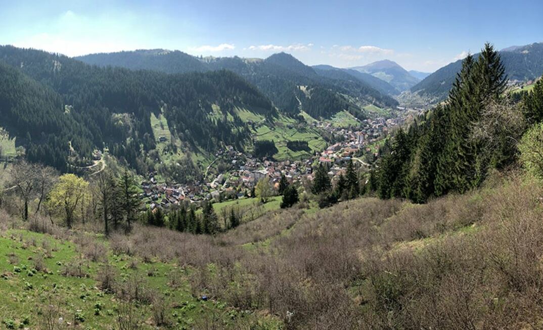 Adriatic lifts Rupice resources