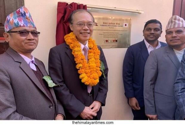 Spicy Cooperation: Japan's turmeric project blooms in Pyuthan