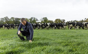 Grass breeding for the future - resilience is key | Farm News | Farmers ...