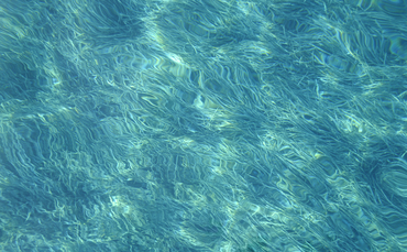 'No longer a niche climate solution': Governance gaps holding back ...