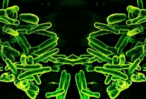 'Mirror life forms' may sound like science fiction, but scientists warn ...