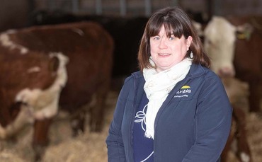 View from the Top: Building a sustainable future for red meat | Farm ...