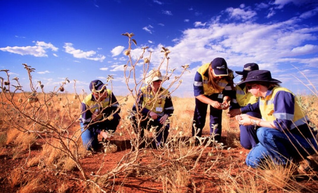 Newmont announces Tanami expansion Newmont announces Tanami expansion