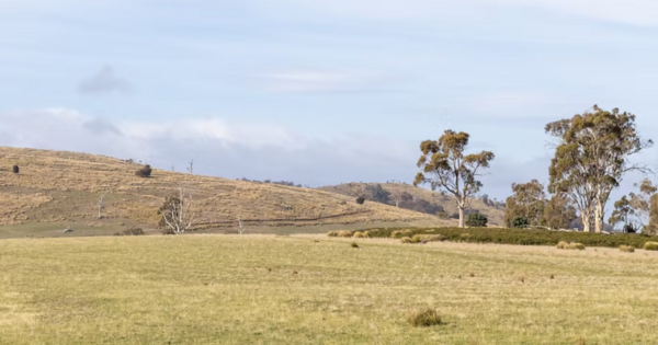 Massive Tasmanian solar farm gets the green light