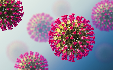 CMI: Mortality rates near pre-pandemic levels