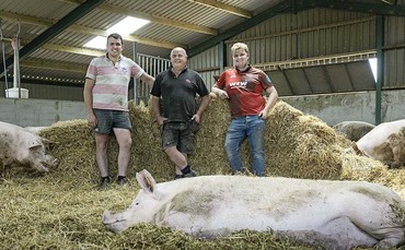 Pig and poultry focus: Scottish pig business moves with the times ...