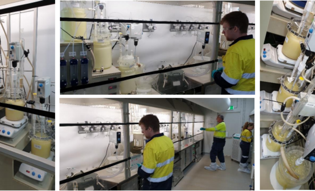 Pilot plant trial success