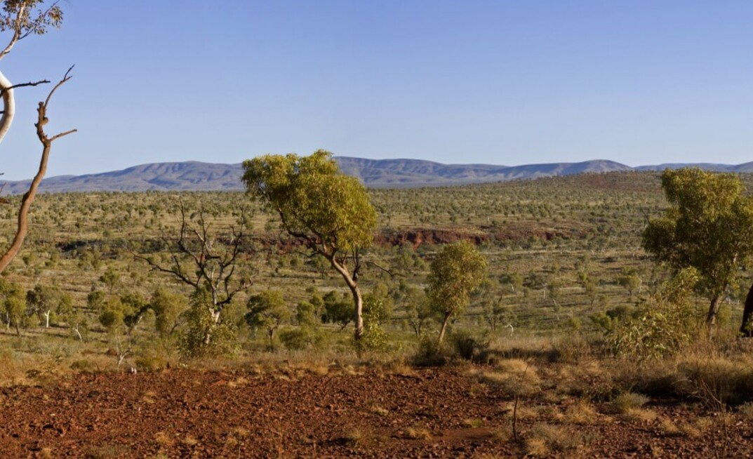 New approach to Pilbara conservation