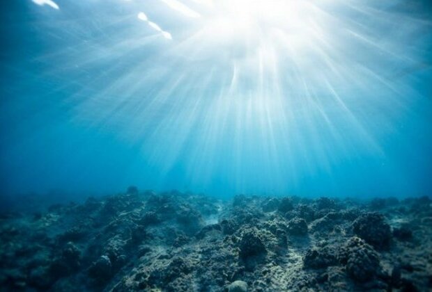 How deep ocean microbes survive without sunlight? Research finds