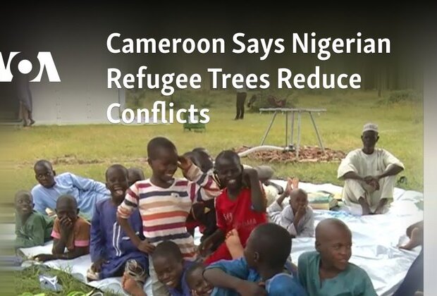 Cameroon Says Nigerian Refugee Trees Reduce Conflicts