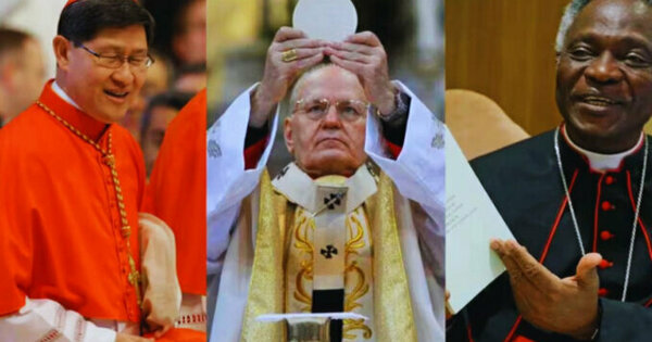 Papal Contenders: Key Figures in the Race to Succeed Pope Francis