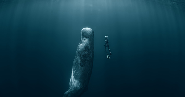 Is famous deep-sea miner forcing permits before readiness?