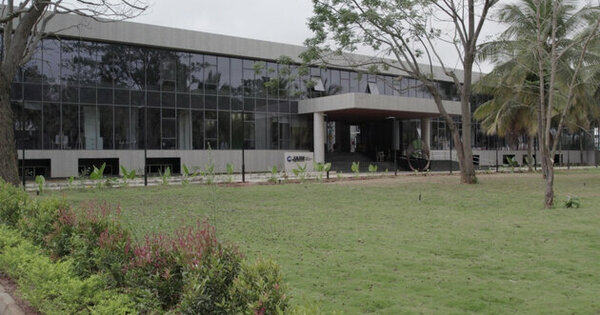 Design Leadership Begins at the Postgraduate Level: The M.Des Path at ...