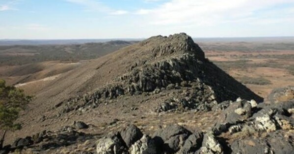 Razorback to get on the grid