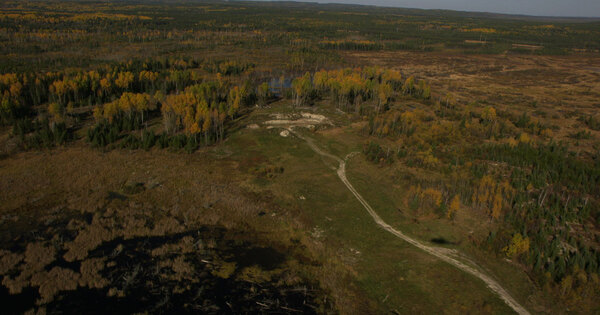 Treasury Metals to buy Blackwolf Copper and Gold