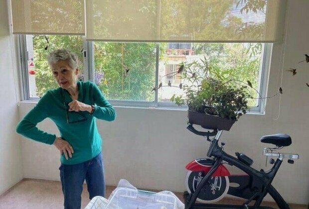Meet the woman behind Mexico City's hummingbird hospital