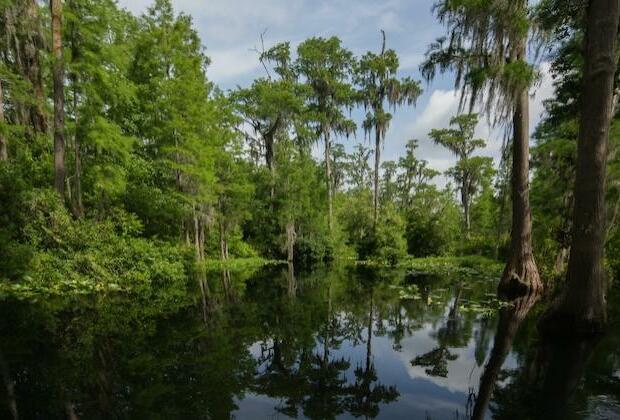 Miner eyes prospect near Okefenokee National Wildlife Refuge
