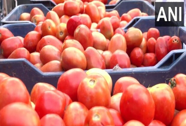 Tamil Nadu: Tomatoes to be sold at Rs.68 per kg in Farm Fresh Outlets to control prices