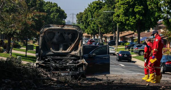 What we know- Aftermath of 'horrific' Murphy Canyon plane crash