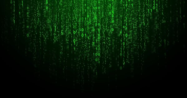 Rehabilitation answers lie in the green data rain