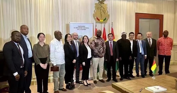 Simandou takes another step forward