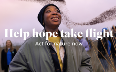 Not just 'the bird charity': RSPB launches new campaign to inspire ...