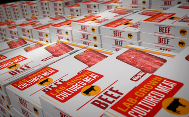 Global Briefing: USDA approves lab-grown meat for sale for first time ...