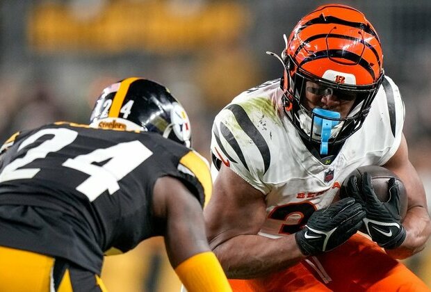 Bengals keep playoff hopes alive with victory over Steelers