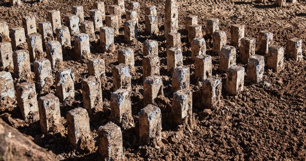 The case for reusing pile foundations