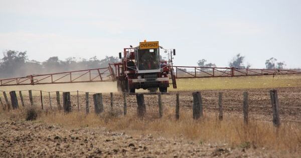 Preventing glyphosate resistance in annual ryegrass
