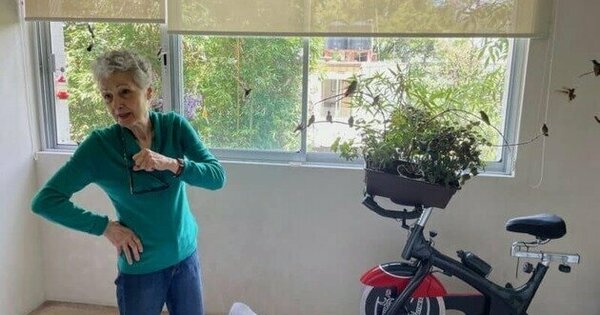Meet the woman behind Mexico City's hummingbird hospital