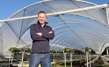 In your field: Dan Hawes: "The target is to pack 140,000 strawberry ...