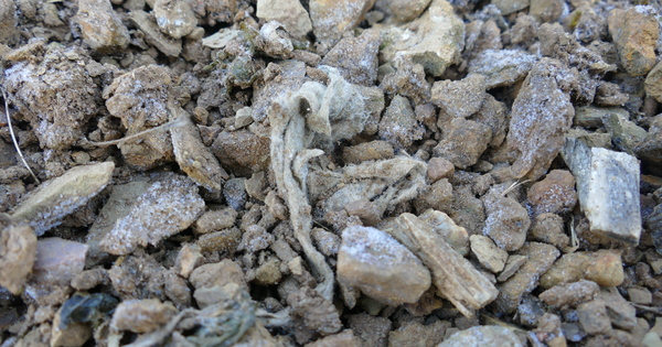 Task-specific asbestos awareness