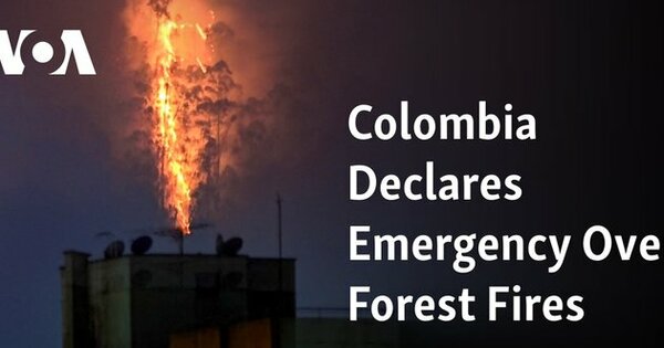 Colombia Declares Emergency Over Forest Fires