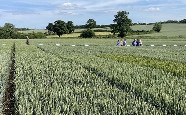 Major review of Recommended Lists included in AHDB's list of Cereal ...