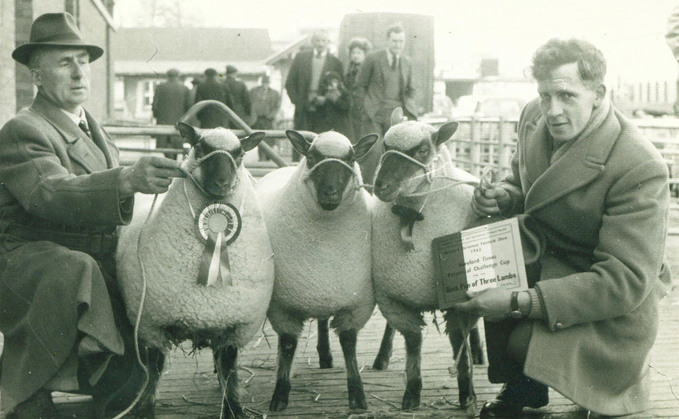 PICTURE GALLERY: Vintage farming photos through the ages | Farm News ...