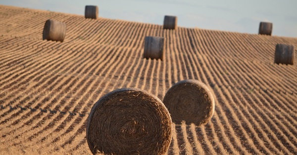 Reminder to use Commodity Vendor Declarations