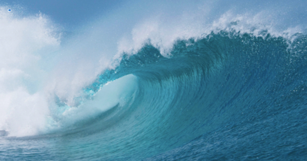 WaveX and Trident Energy to advance wave energy in WA