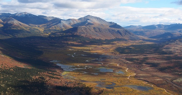 Fireweed gets Yukon infrastructure study funding
