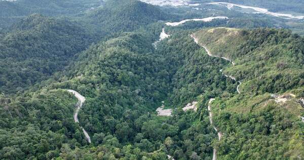 Merdeka's Pani Gold Project – Construction Underway Targeting Near-Term ...