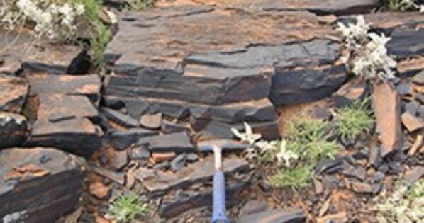 Razorback options on table