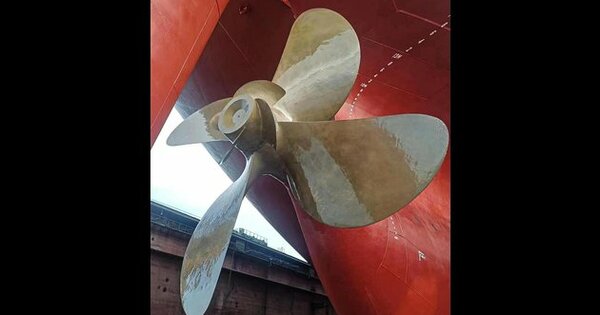 Bionic dolphin skin saves fuel for large crude carrier