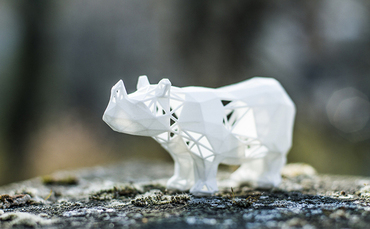 Deal In Focus Intel And Practica Back Cgtrader Unquote