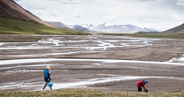 "Insect catchers" at China's scientific expedition in Yangtze headwaters