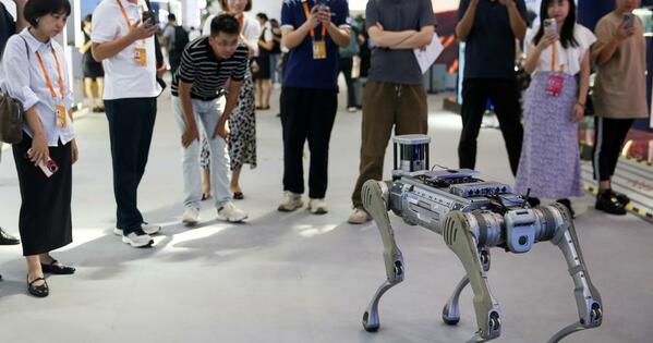Robotic dogs patrol Beijing park