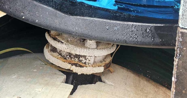 Mining Briefs: Hammer, Kingston and more