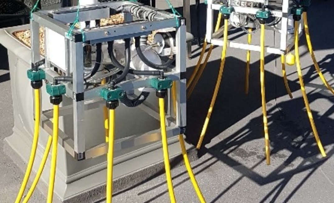 Counting the legs on Nautilus' autonomous spider